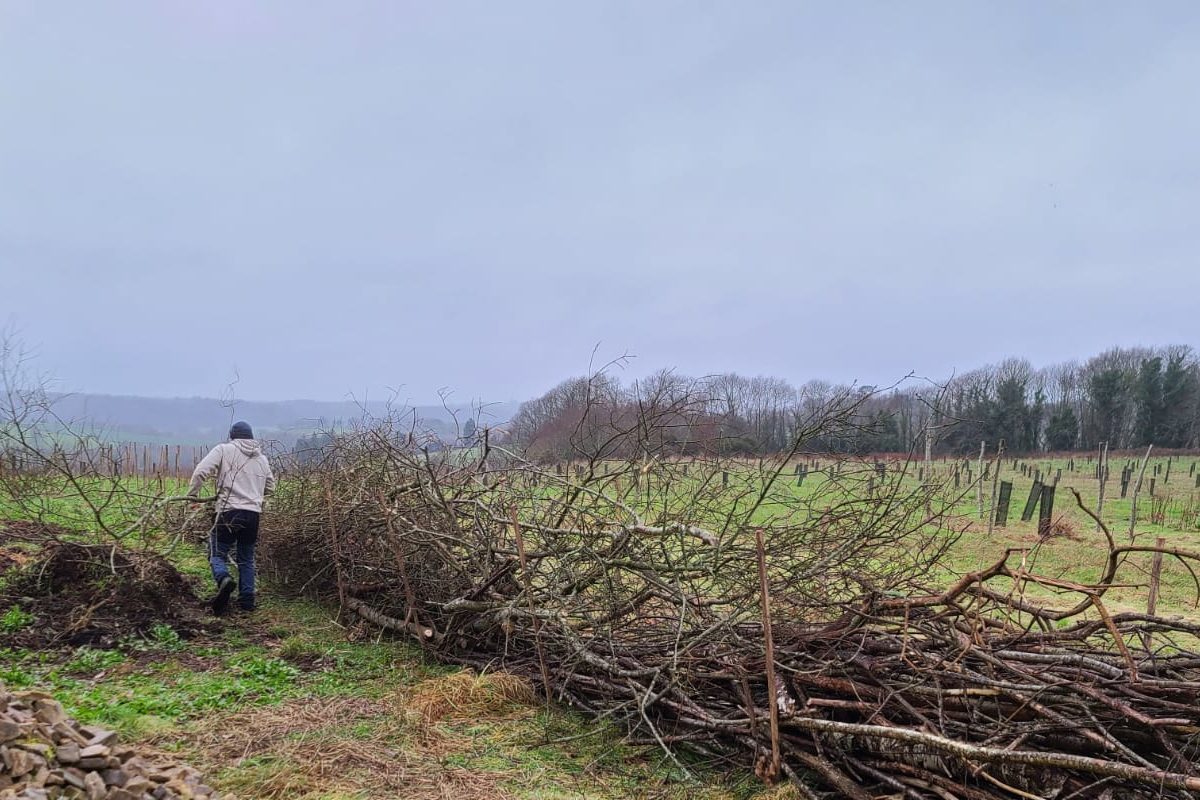 L'ARBOR ET SENS - Producteur de goût et de biodiversité